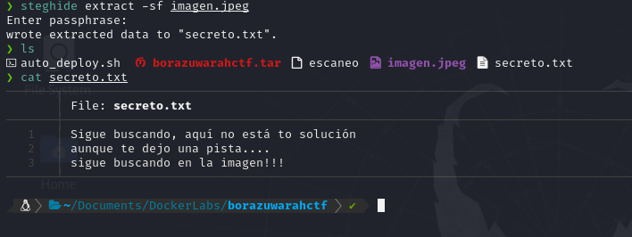 Maquina BorazuwarahCTF - Anton-Hacks