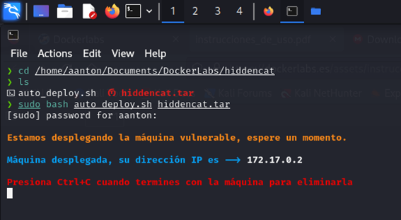 Maquina HiddenCat - Anton-Hacks