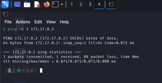 Maquina HiddenCat - Anton-Hacks